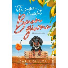 Tote sagen nicht Buongiorno / Mord in Viareggio Bd.1 - Carla di Luca, Taschenbuch