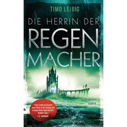 Die Herrin der Regenmacher / Jundar-Chroniken Bd.2 - Timo Leibig, Kartoniert (TB)