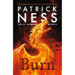 Burn - Patrick Ness, Kartoniert (TB)