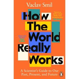 Penguin How the World Really Works - Vaclav Smil, Kartoniert (TB)