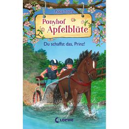 Loewe Du schaffst das, Prinz! / Ponyhof Apfelblüte Bd.19 - Pippa Young, Gebunden