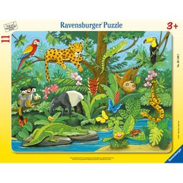 RAVENSBURGER VERLAG Ravensburger Kinderpuzzle - 05140 Tiere im Regenwald - Rahmenpuzzle für Kinder ab 3 Jahren, mit 11 Teilen