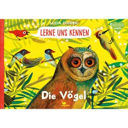 Magellan Die Vögel / Lerne uns kennen Bd.2 - Lucia Scuderi, Gebunden