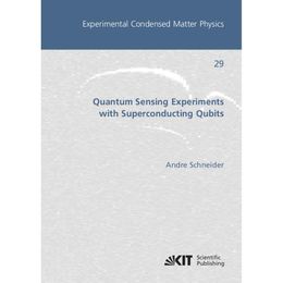 Quantum Sensing Experiments with Superconducting Qubits - Andre Schneider, Kartoniert (TB)