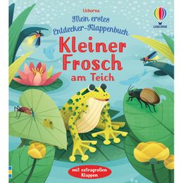 Kleiner Frosch am Teich / mein erstes Entdecker-Klappbuch Bd.3 - Anna Milbourne, Gebunden
