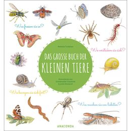 Das große Buch der kleinen Tiere - Nathalie Tordjman, Gebunden