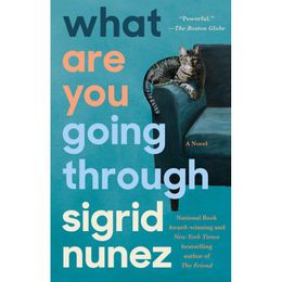 Penguin Random House What Are You Going Through - Sigrid Nunez, Kartoniert (TB)
