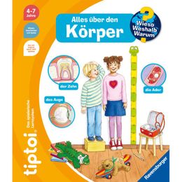 RAVENSBURGER VERLAG Alles über den Körper / Wieso? Weshalb? Warum? tiptoi® Bd.26 - Heike Tober, Kartoniert (TB)