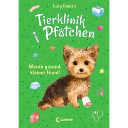 Loewe Verlag Werde gesund, kleiner Hund! / Tierklinik Pfötchen Bd.5 - Lucy Daniels, Gebunden