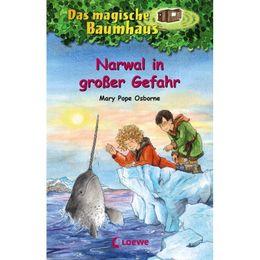 Loewe Narwal in großer Gefahr / Das magische Baumhaus Bd.57 - Mary Pope Osborne, Gebunden