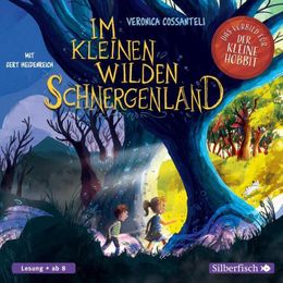 Silberfisch Im kleinen wilden Schnergenland,3 Audio-CD - Edward Wyke-Smith, Veronica Cossanteli (Hörbuch)