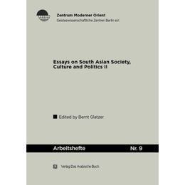 De Gruyter Essays on South Asian Society, Culture and Polities (II) - Bernt Glatzer, Kartoniert (TB)
