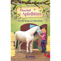 Loewe Verlag Große Sorge um Sternchen / Ponyhof Apfelblüte Bd.18 - Pippa Young, Gebunden