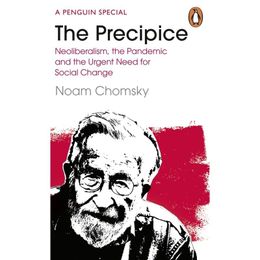 The Precipice - Noam Chomsky, C. J. Polychroniou, Kartoniert (TB)