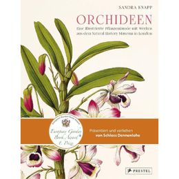 Orchideen - Sandra Knapp, Gebunden
