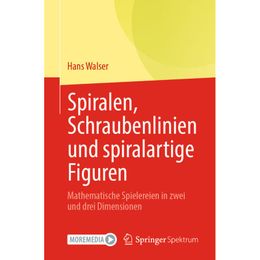 Spiralen, Schraubenlinien und spiralartige Figuren - Hans Walser, Kartoniert (TB)