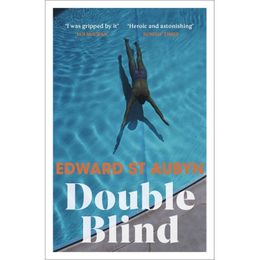 Vintage Double Blind - Edward St Aubyn, Kartoniert (TB)