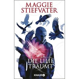 Droemer Knaur Verlagsgruppe Wer die Lilie träumt / Raven Cycle Bd.2 - Maggie Stiefvater, Taschenbuch