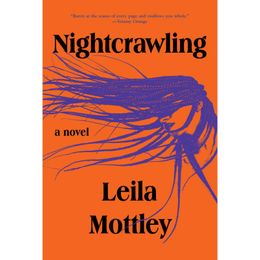 Nightcrawling - Leila Mottley, Kartoniert (TB)