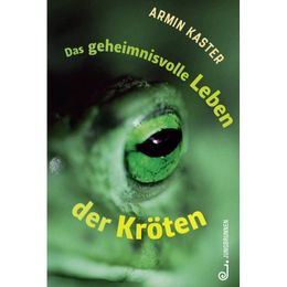 Das geheimnisvolle Leben der Kröten - Armin Kaster, Gebunden