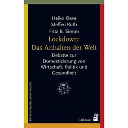 Systemische Horizonte / Lockdown: Das Anhalten der Welt - Heiko Kleve, Steffen Roth, Fritz B. Simon, Kartoniert (TB)