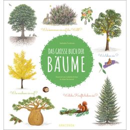 Das große Buch der Bäume - Nathalie Tordjman, Gebunden