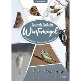 Das große Buch der Wintervögel - Uwe Westphal, Gebunden