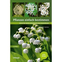 haupt Pflanzen einfach bestimmen - Peter M. Kammer, Kartoniert (TB)