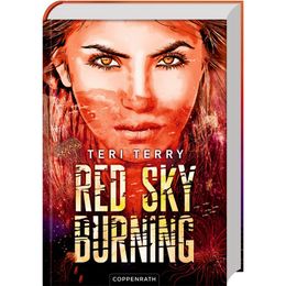 Red Sky Burning / Dark Blue Rising Bd.2 - Teri Terry, Gebunden