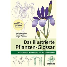 haupt Das illustrierte Pflanzen-Glossar - Stefan Eggenberg, Yann Fragnière, Gregor Kozlowski, Kartoniert (TB)