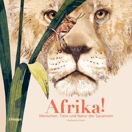 haupt Afrika! - Katharina Vlcek, Gebunden