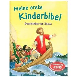 Meine erste Kinderbibel - Geschichten von Jesus - Rolf Krenzer, Gebunden