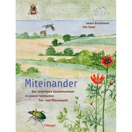 haupt Miteinander - Johann Brandstetter, Elke Zippel, Gebunden