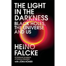 Headline Light in the Darkness - Heino Falcke, Jörg Römer, Kartoniert (TB)