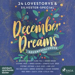 Adventskalender - December Dreams. Ein Adventskalender,2 Audio-CD, MP3 - Jennifer Benkau, Stefanie Hasse, Bianca Iosvioni, Alana Falk, Sandra Grauer,