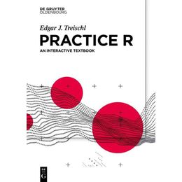 De Gruyter Practice R - Edgar J. Treischl, Kartoniert (TB)