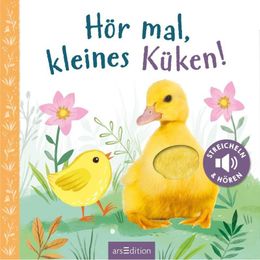 Ars Edition Hör mal, kleines Küken!, Pappband