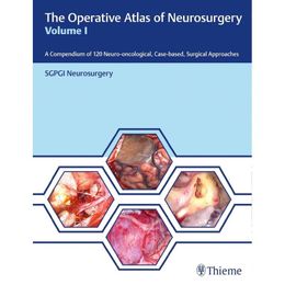 The Operative Atlas of Neurosurgery, Vol I, Gebunden