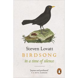 Penguin Birdsong in a Time of Silence - Steven Lovatt, Kartoniert (TB)