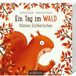 Ars Edition Ein Tag im Wald: Kleines Eichhörnchen - Katarzyna Pietka, Pappband