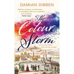 The Colour Storm - Damian Dibben, Gebunden