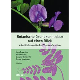 haupt Botanische Grundkenntnisse auf einen Blick - Yann Fragnière, Nicolas Ruch, Evelyne Kozlowski, Gebunden