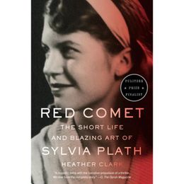 Vintage Red Comet - Heather Clark, Kartoniert (TB)