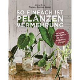 Bassermann So einfach ist Pflanzenvermehrung. Die besten Methoden für 60 Nutz- und Zimmerpflanzen. - Olivia Brun, Kartoniert (TB)