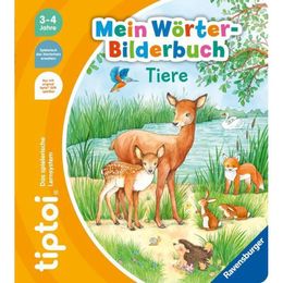 RAVENSBURGER VERLAG Tiere / Mein Wörter-Bilderbuch tiptoi® Bd.3 - Eva Odersky, Kartoniert (TB)