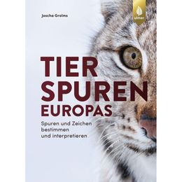 Tierspuren Europas - Joscha Grolms, Gebunden