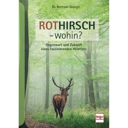 Müller Rüschlikon Rothirsch - wohin? - Bertram Georgii, Gebunden