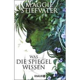 Droemer Knaur Verlagsgruppe Was die Spiegel wissen / Raven Cycle Bd.3 - Maggie Stiefvater, Taschenbuch