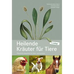 haupt Heilende Kräuter für Tiere - Cäcilia Brendieck-Worm, Elisabeth Stöger, Franziska Klarer, Kartoniert (TB)