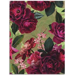 Wandbild Artland "Dunkle Rosen auf Grün" Bilder Gr. B/H: 60 cm x 80 cm, Alu-Dibond-Druck Blumenbilder Hochformat, 1 St., pink Kunstdrucke